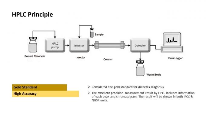 คอลัมน์โครมาโตกราฟี HPLC HbA1c Analyzer สำหรับการทดสอบ HbA1c โดย ...